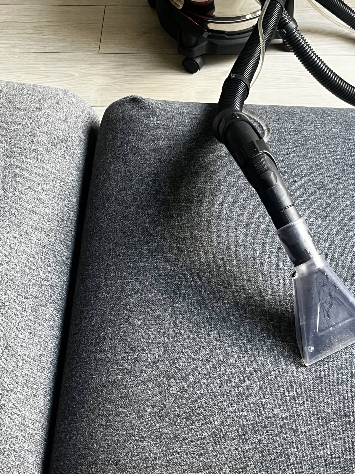 TOP Mold Removal Experts in Bombarral - Fixando