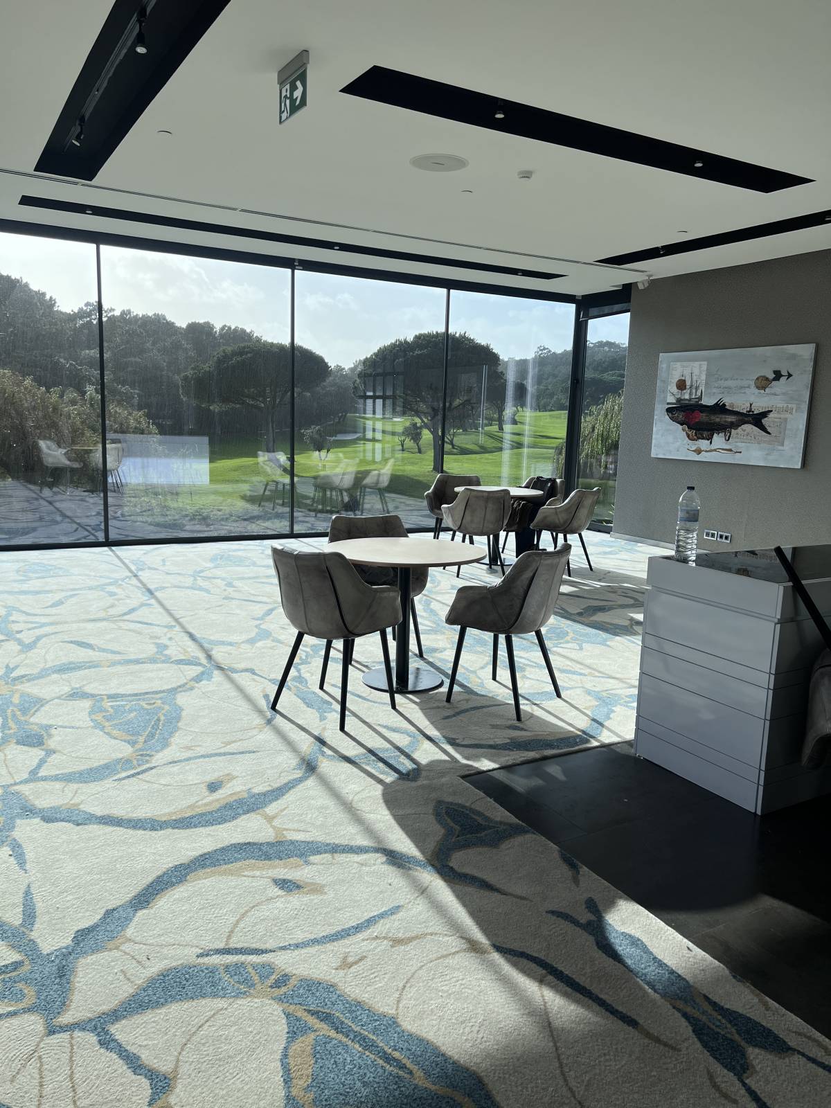 TOP Mold Removal Experts in Bombarral - Fixando